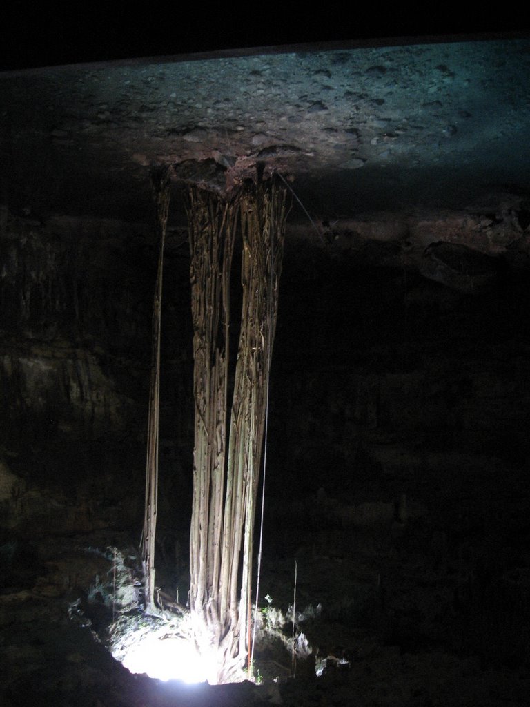 Cenote Dzinup – Wonderful Vacation Life 💫